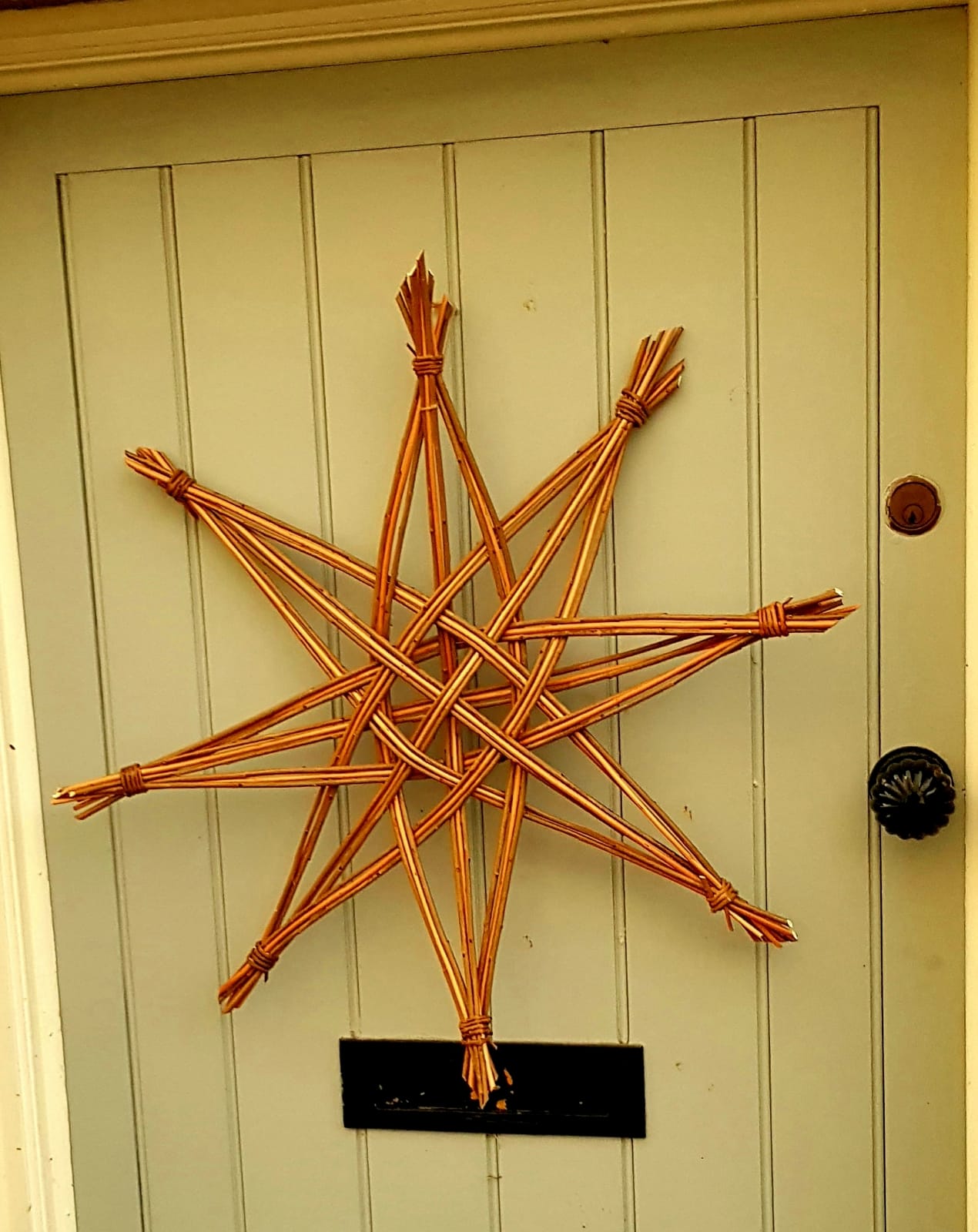 Willow Star – Whaley Bridge Canal Group CIC